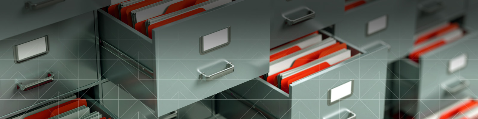 Public Information Services - SIG